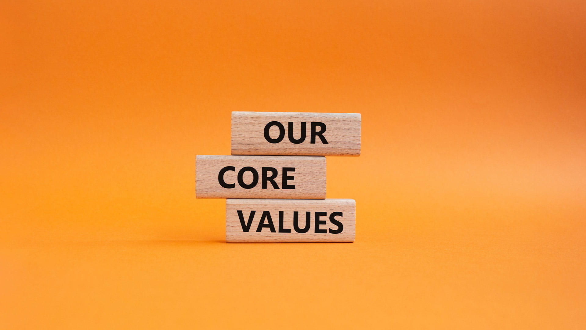 Onze kernwaarden | Haskoning