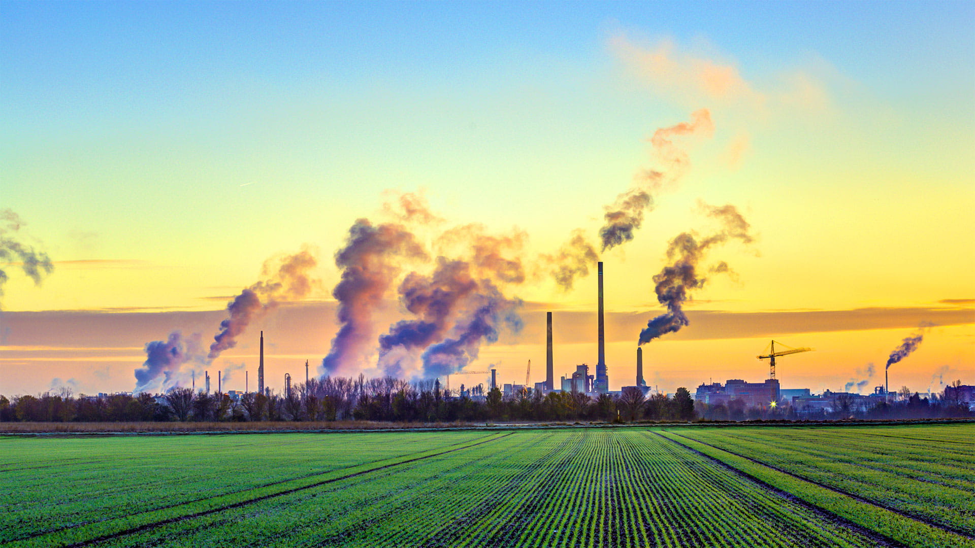 Net zero-strategieën voor 2050 | Haskoning