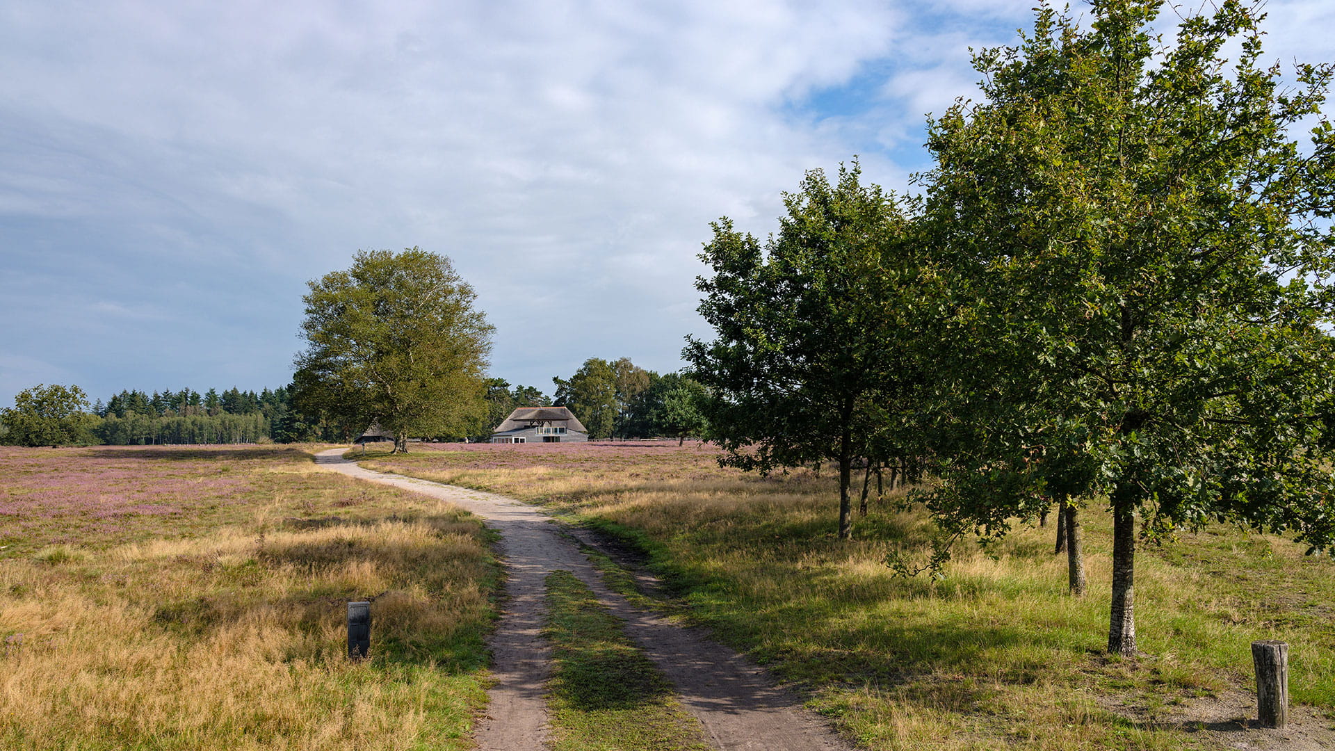 Transitie Landelijk Gebied - In nieuw provinciaal perspectief | Haskoning